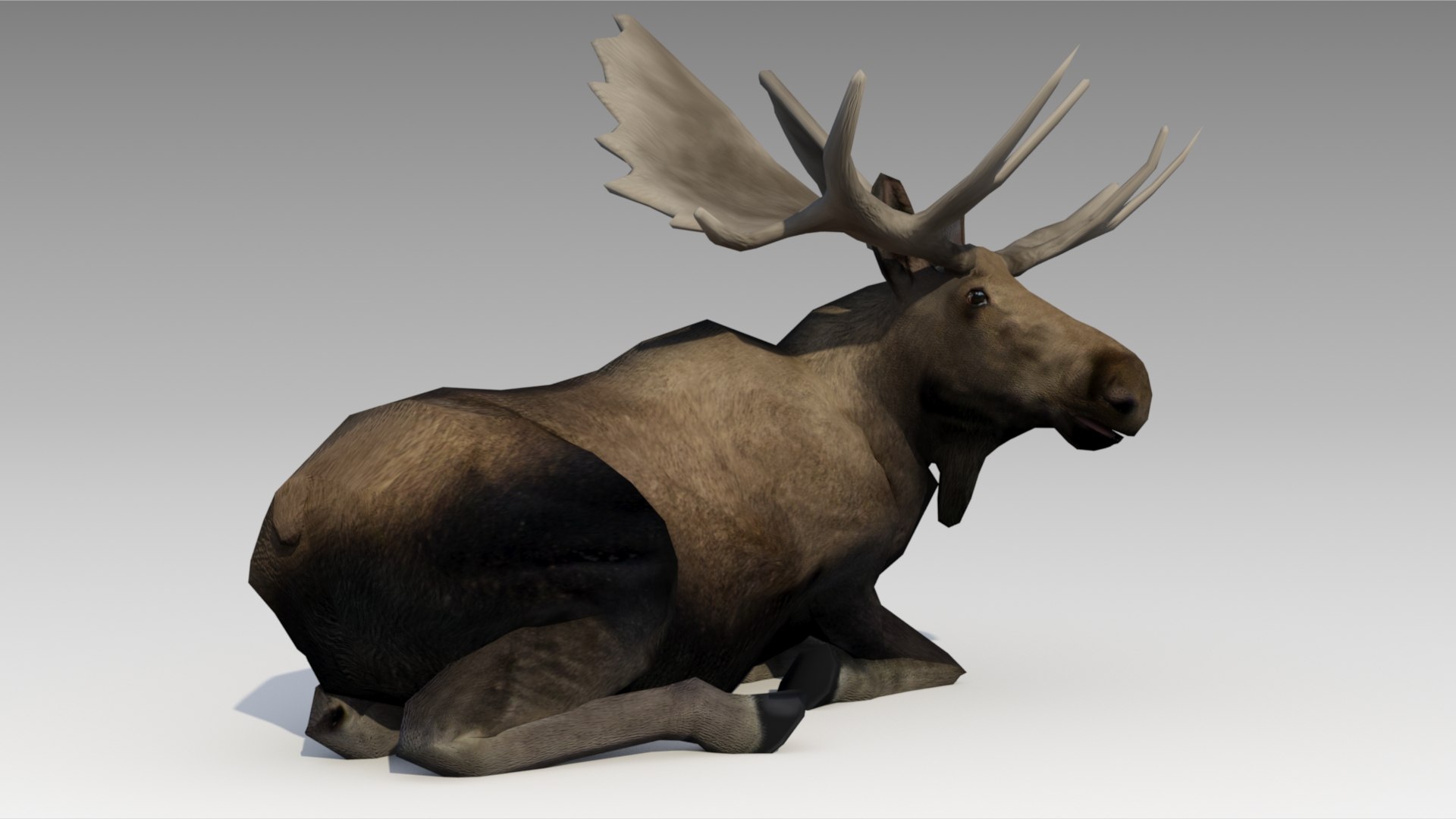 3D Moose - TurboSquid 1237688