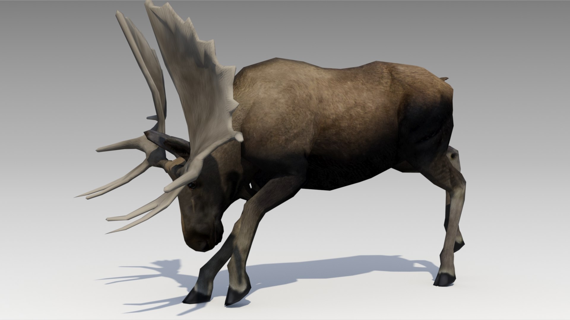 3D Moose - TurboSquid 1237688