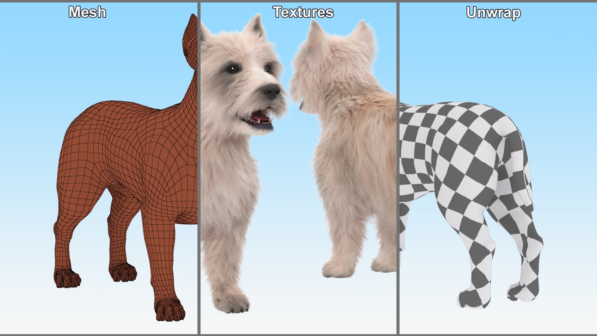 Mongrel Dog Cream Fur Rigged 3D Model - TurboSquid 2413803