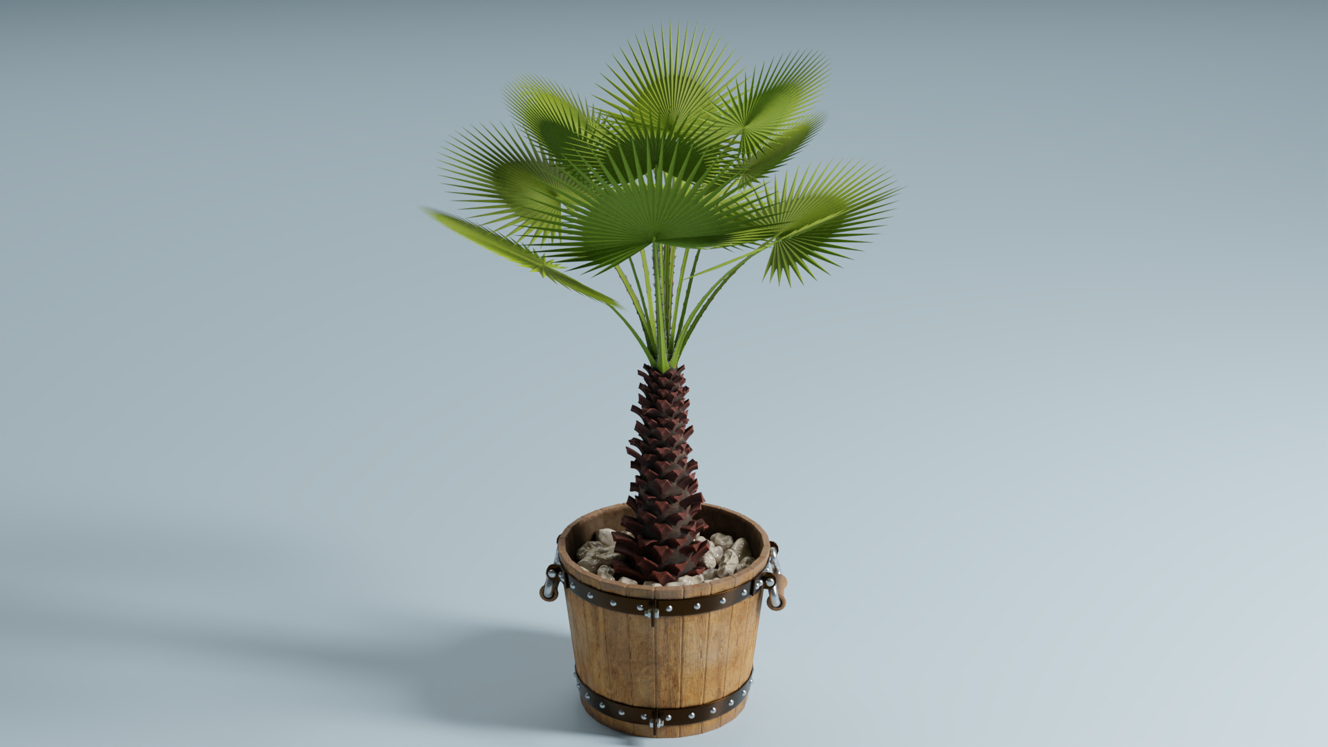 3D Model Palm Tree 03 - TurboSquid 1945121