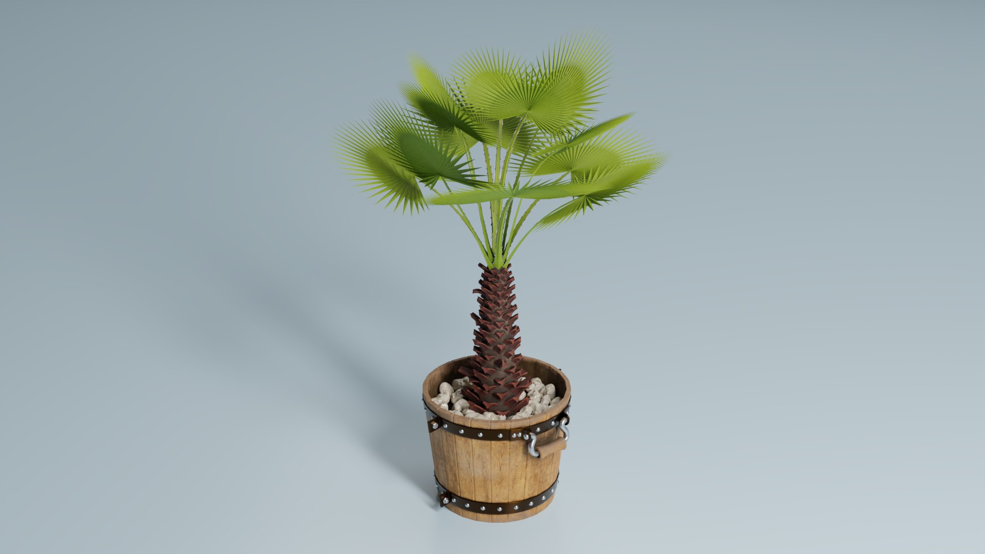 3D Model Palm Tree 03 - TurboSquid 1945121