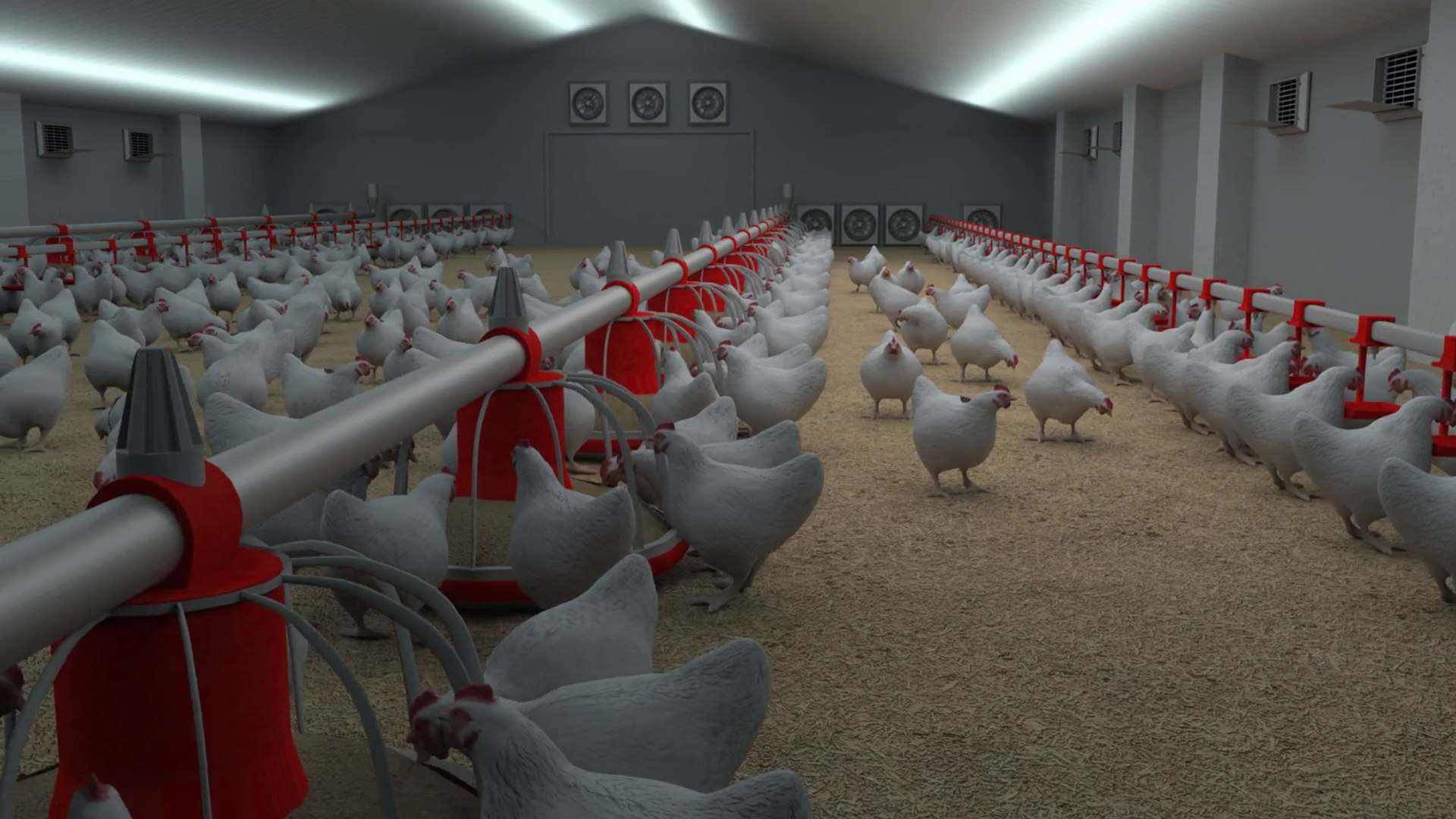 3D Chickens Poultry Farm - TurboSquid 1596380