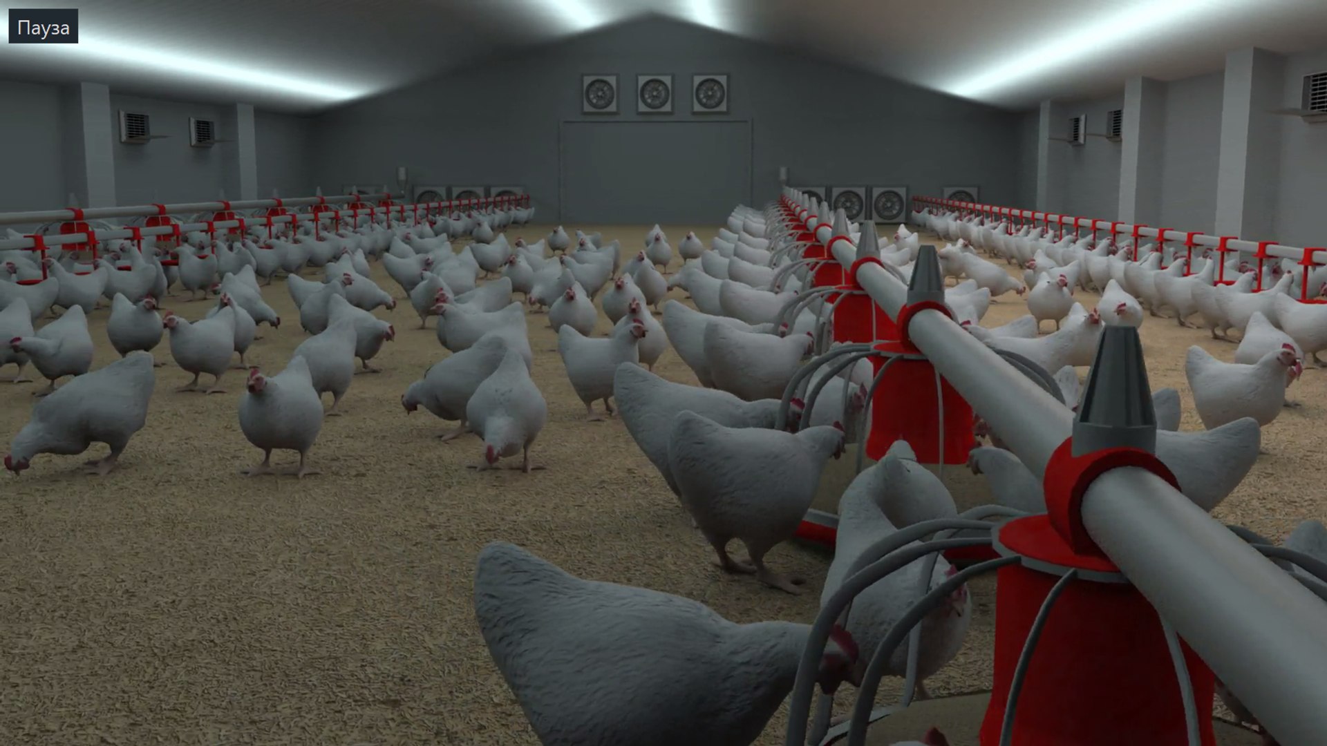 3D Chickens Poultry Farm - TurboSquid 1596380