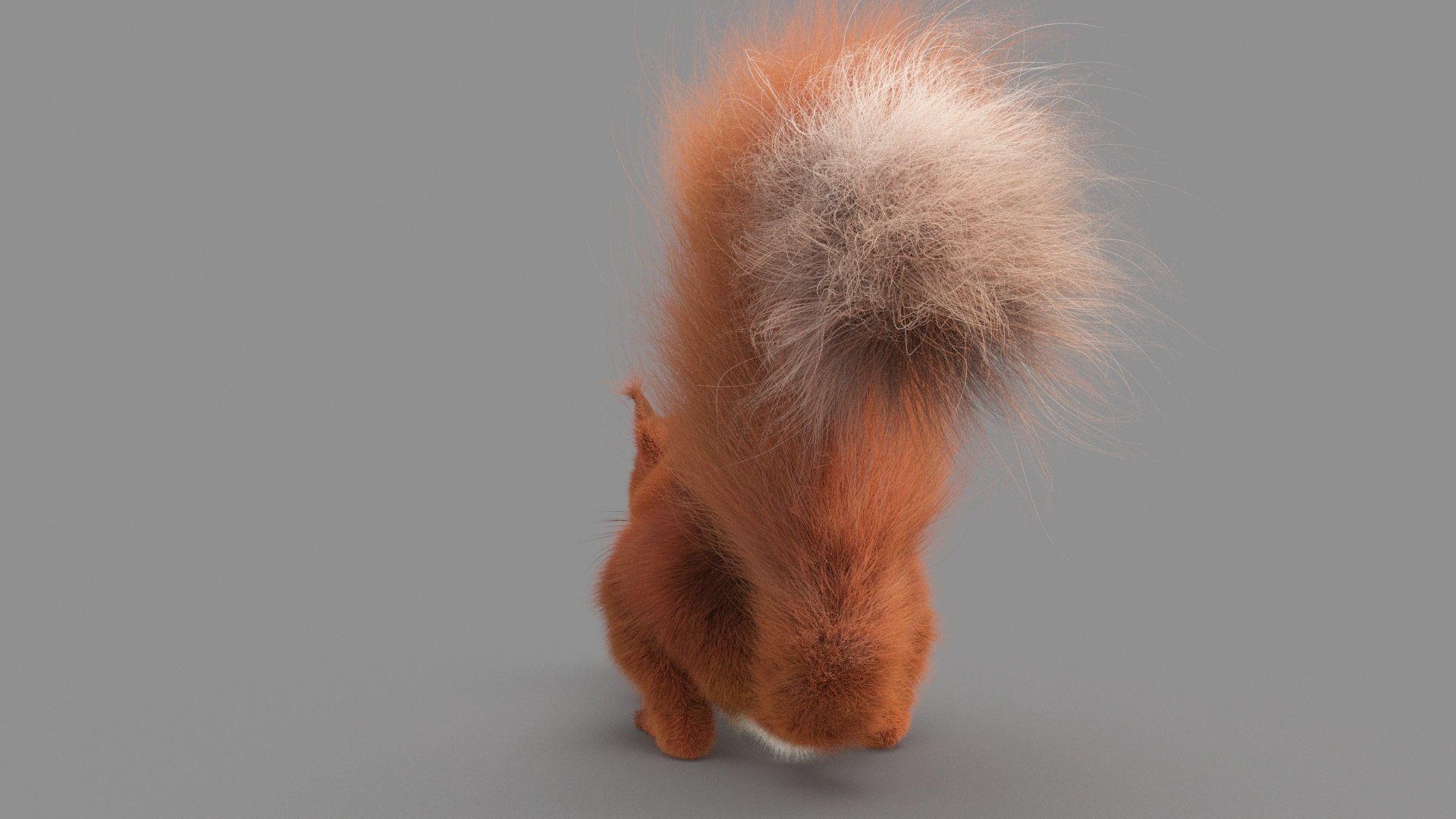 3D Red Squirrel Model - TurboSquid 1715656