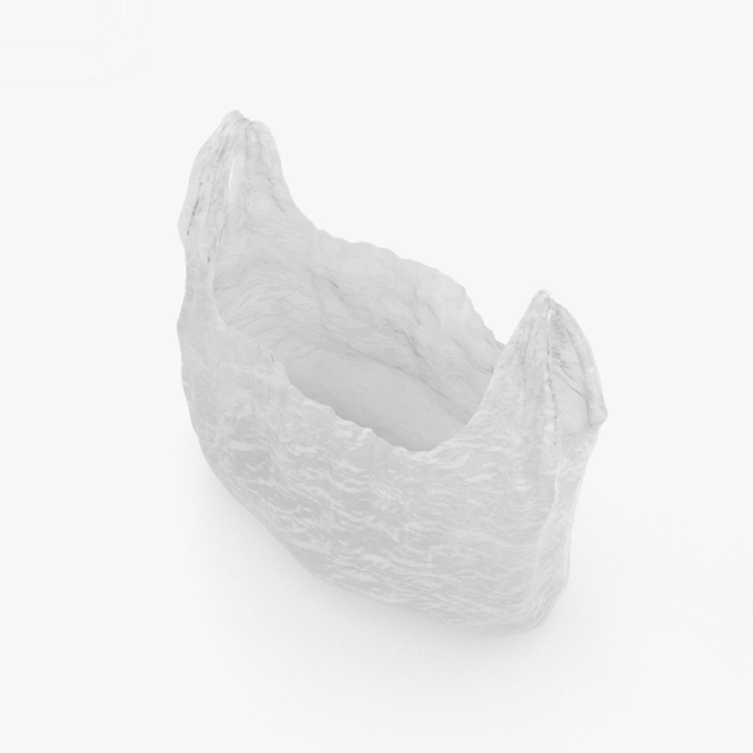 3D Plastic Bag Model - TurboSquid 1502049
