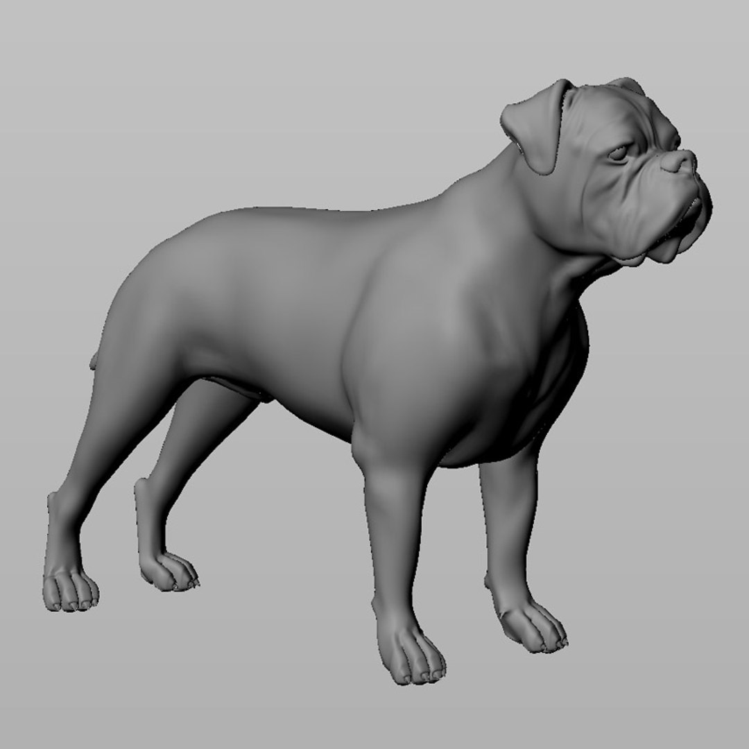 dog 4 3d model