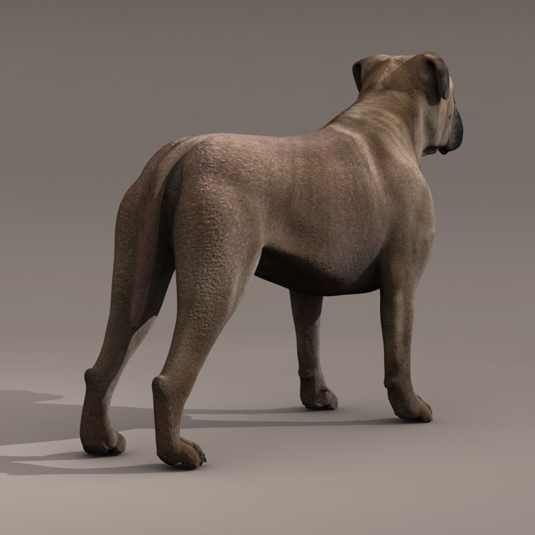 dog 4 3d model