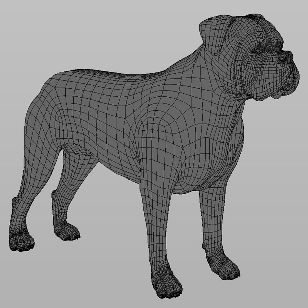 dog 4 3d model