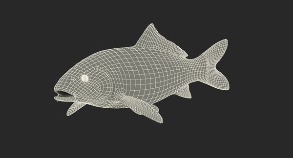 modelo 3d Koi Fish Rigged para Maya - TurboSquid 1153874