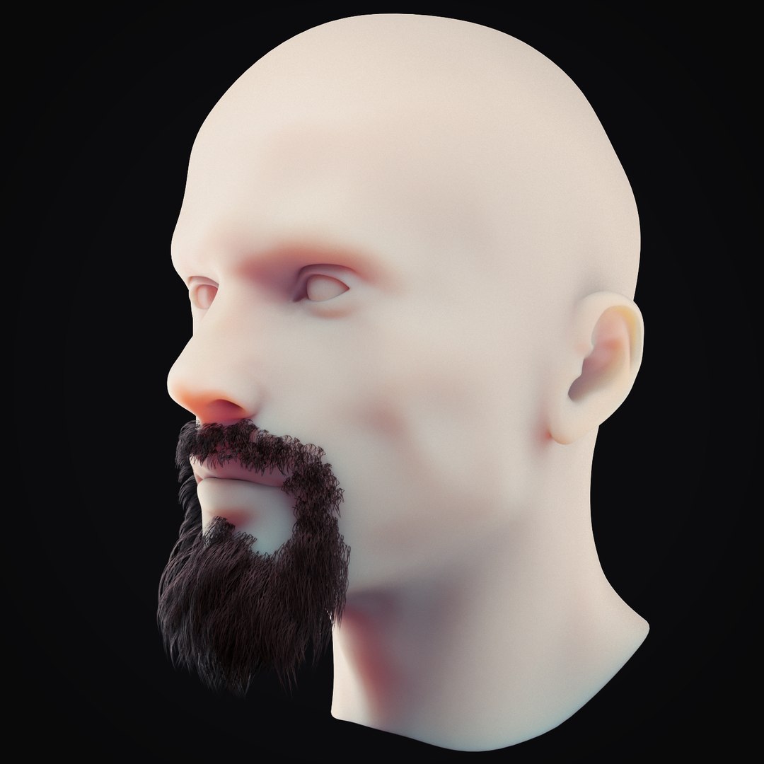 Beard 2 Model - TurboSquid 1489615