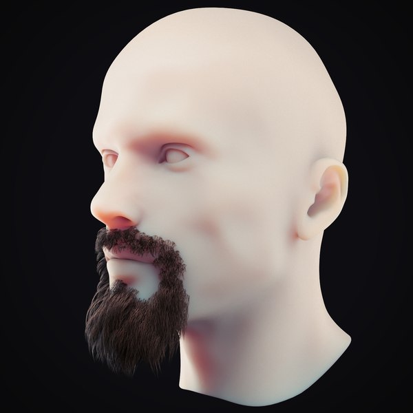 Beard 3D Models for Download | TurboSquid
