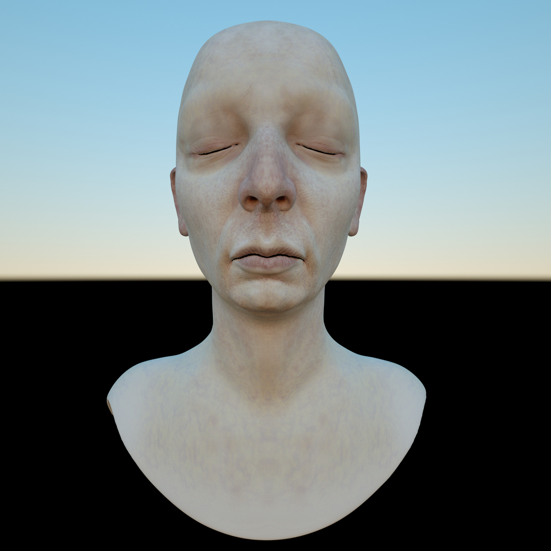 3D fusia mia sisters female head - TurboSquid 1203821