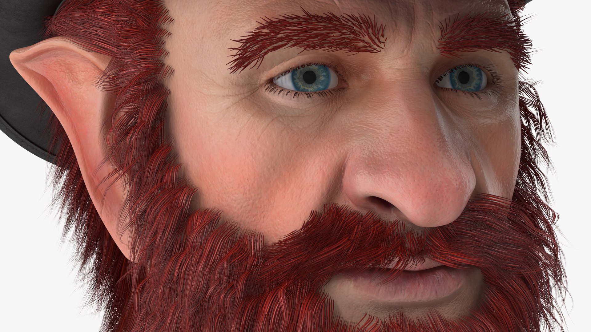 3D Leprechaun Head 3 model - TurboSquid 1987806
