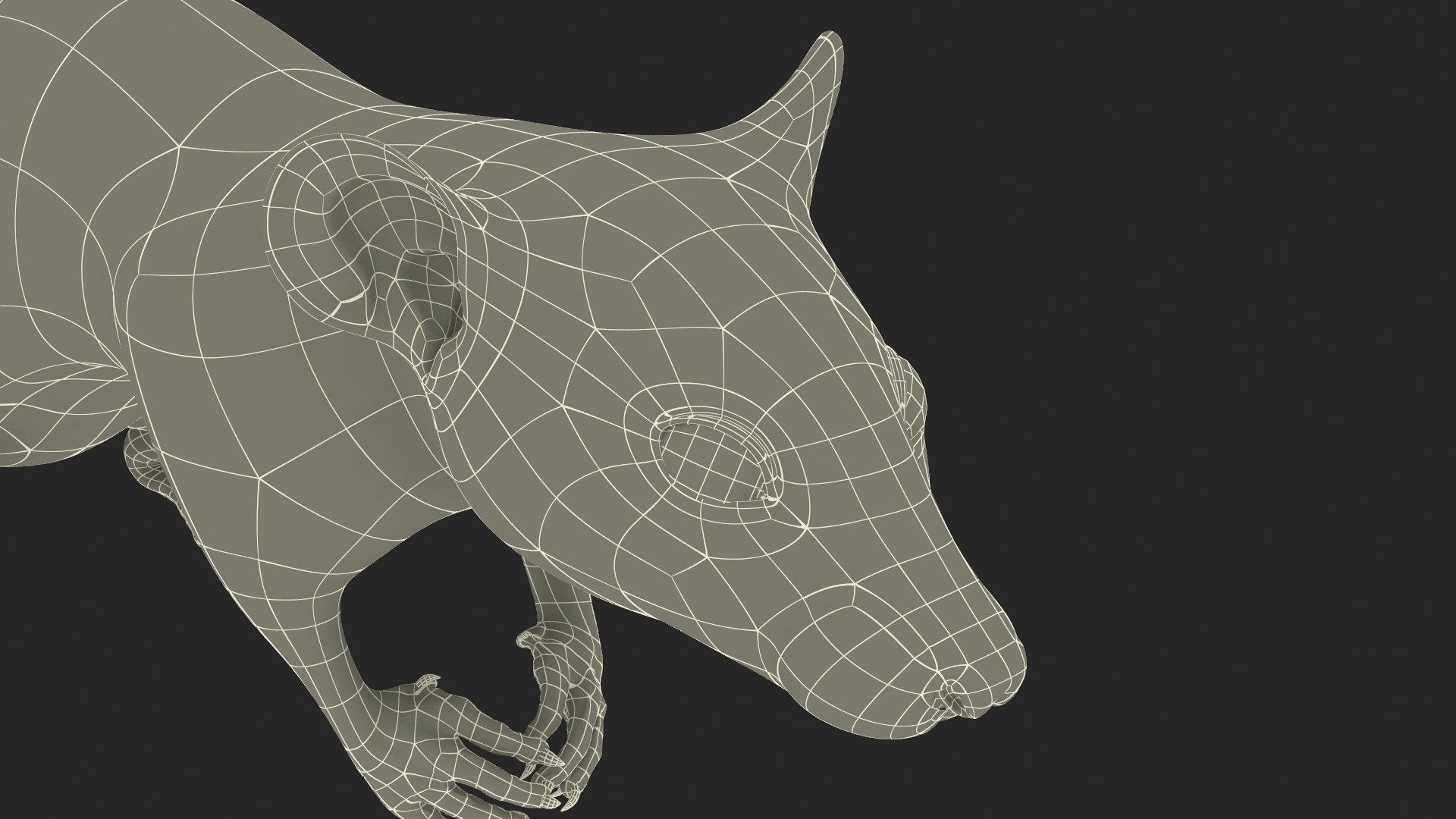 Common Rat With Fur Model - TurboSquid 2264697