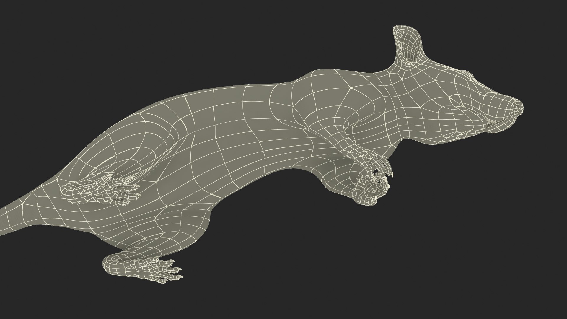 Common Rat With Fur Model - TurboSquid 2264697