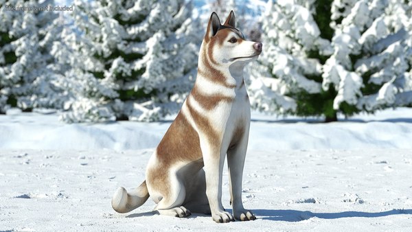 3D модель Коллекция анимированных крупных собак 3 для Cinema 4D ...