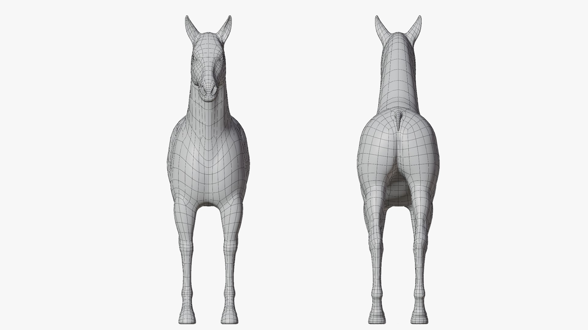 Rigged Horse Base Mesh 3D Model - TurboSquid 1572478