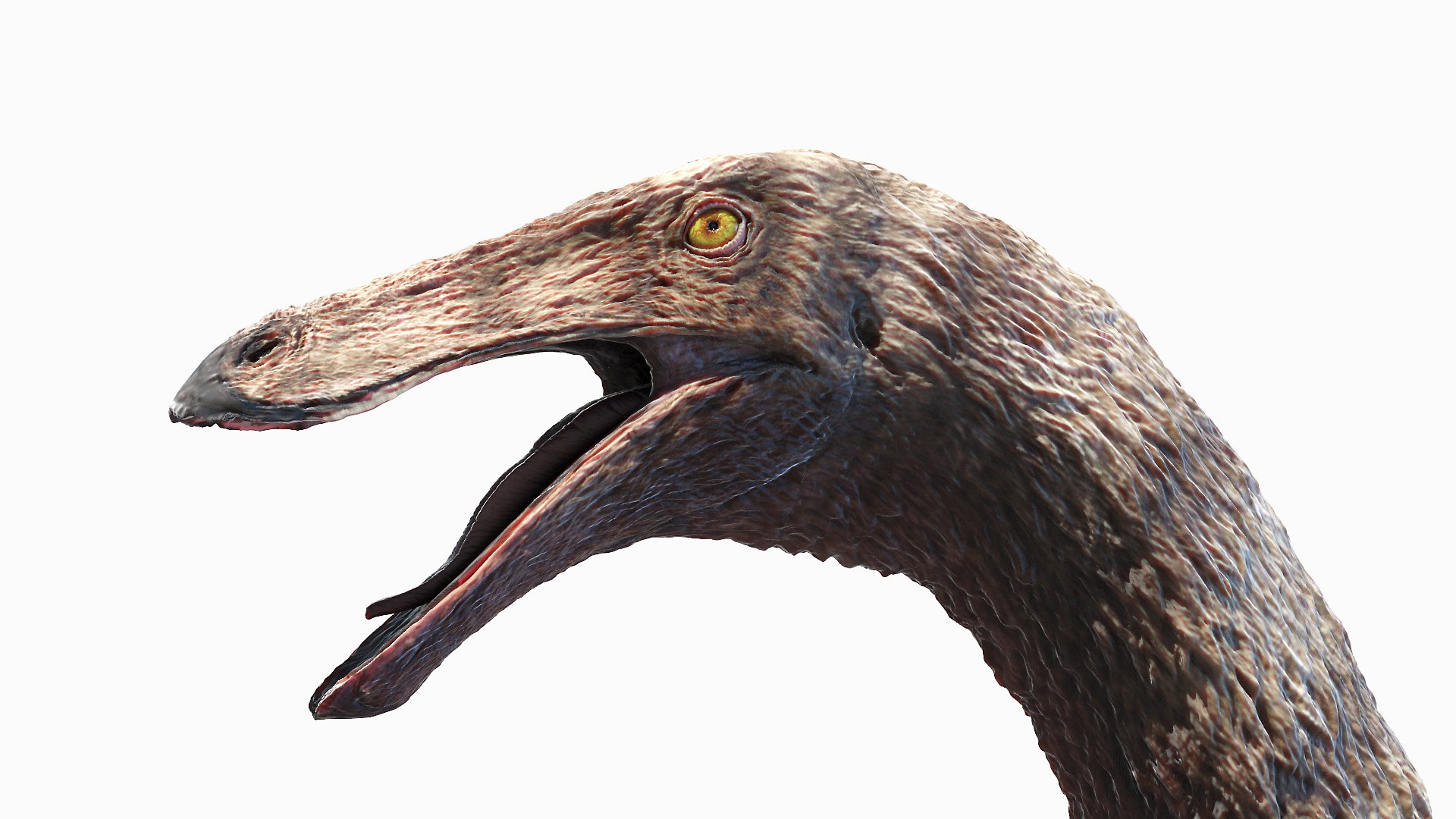 Ornithomimus 3D - TurboSquid 1687415