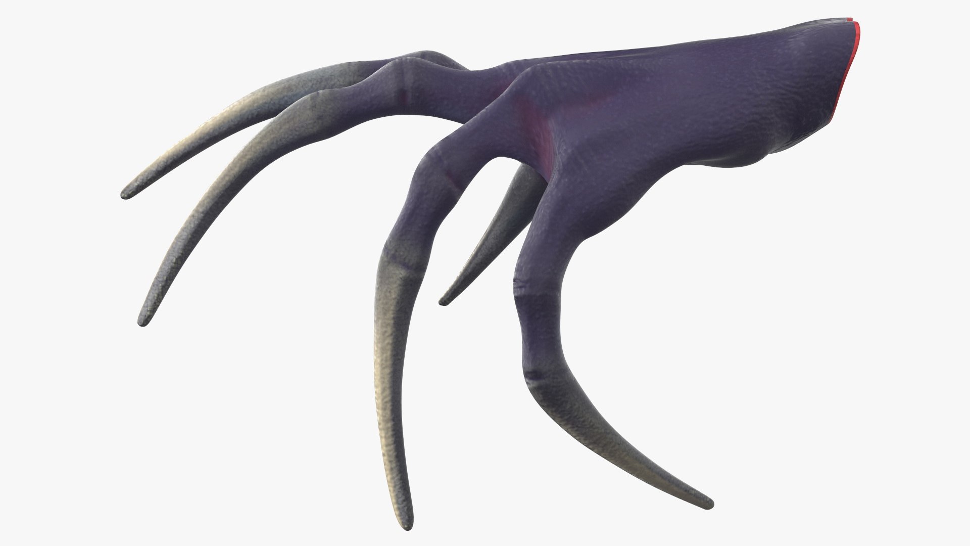 Mutant Hands Collection 3D - TurboSquid 1909577