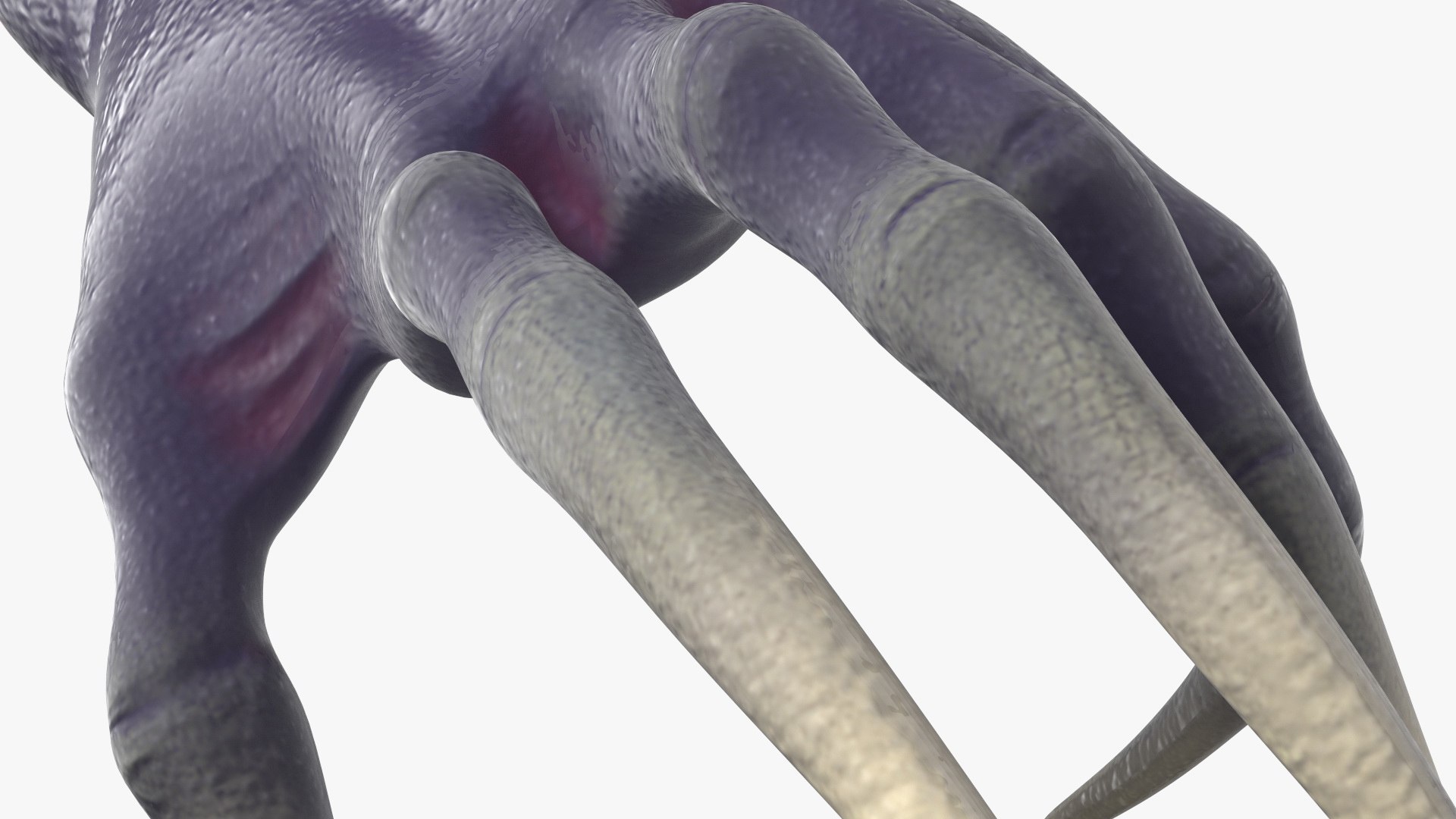 Mutant Hands Collection 3D - TurboSquid 1909577