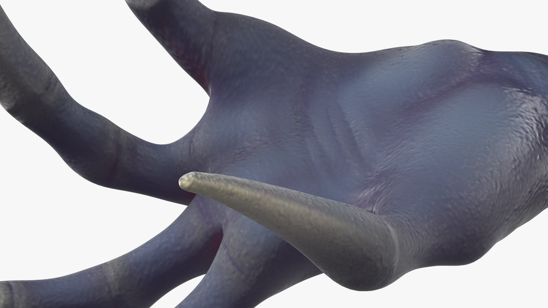 Mutant Hands Collection 3D - TurboSquid 1909577