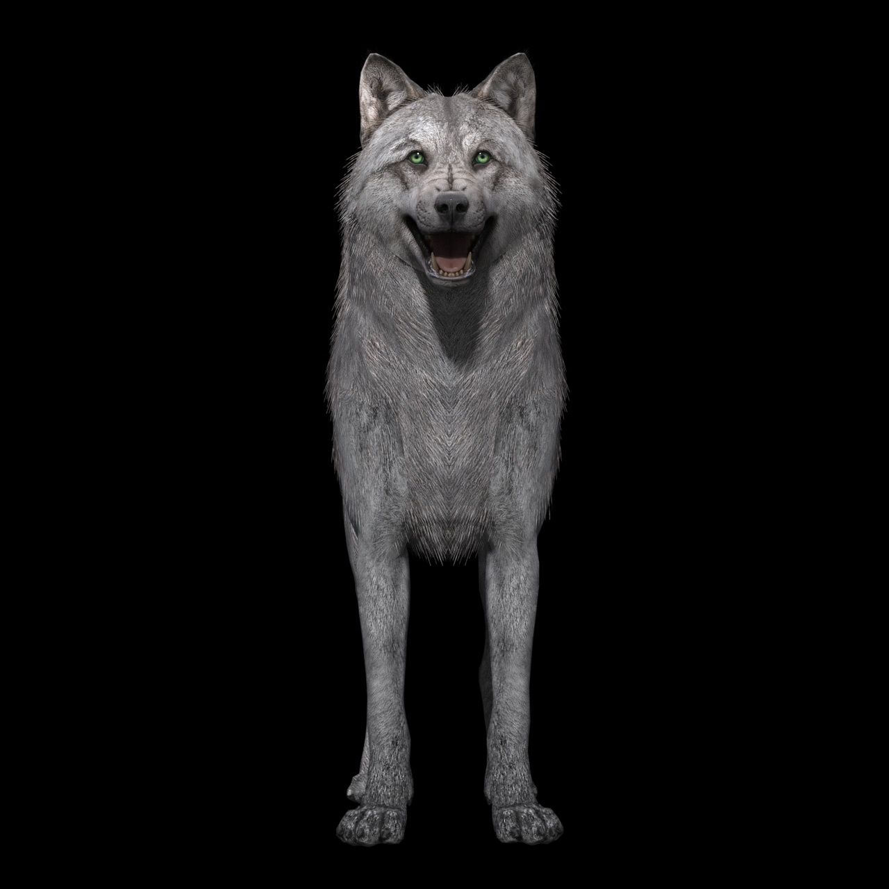 modelo 3d Lobo Realista Maya Rig gratis - TurboSquid 1390070