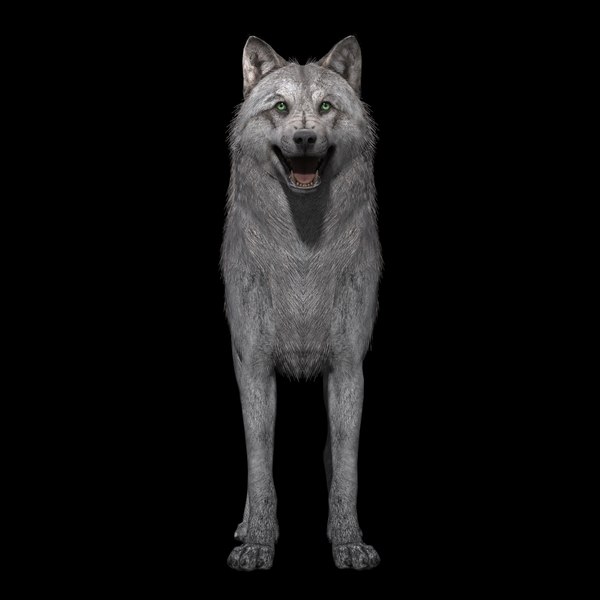 modelo 3d Lobo Realista Maya Rig gratis - TurboSquid 1390070