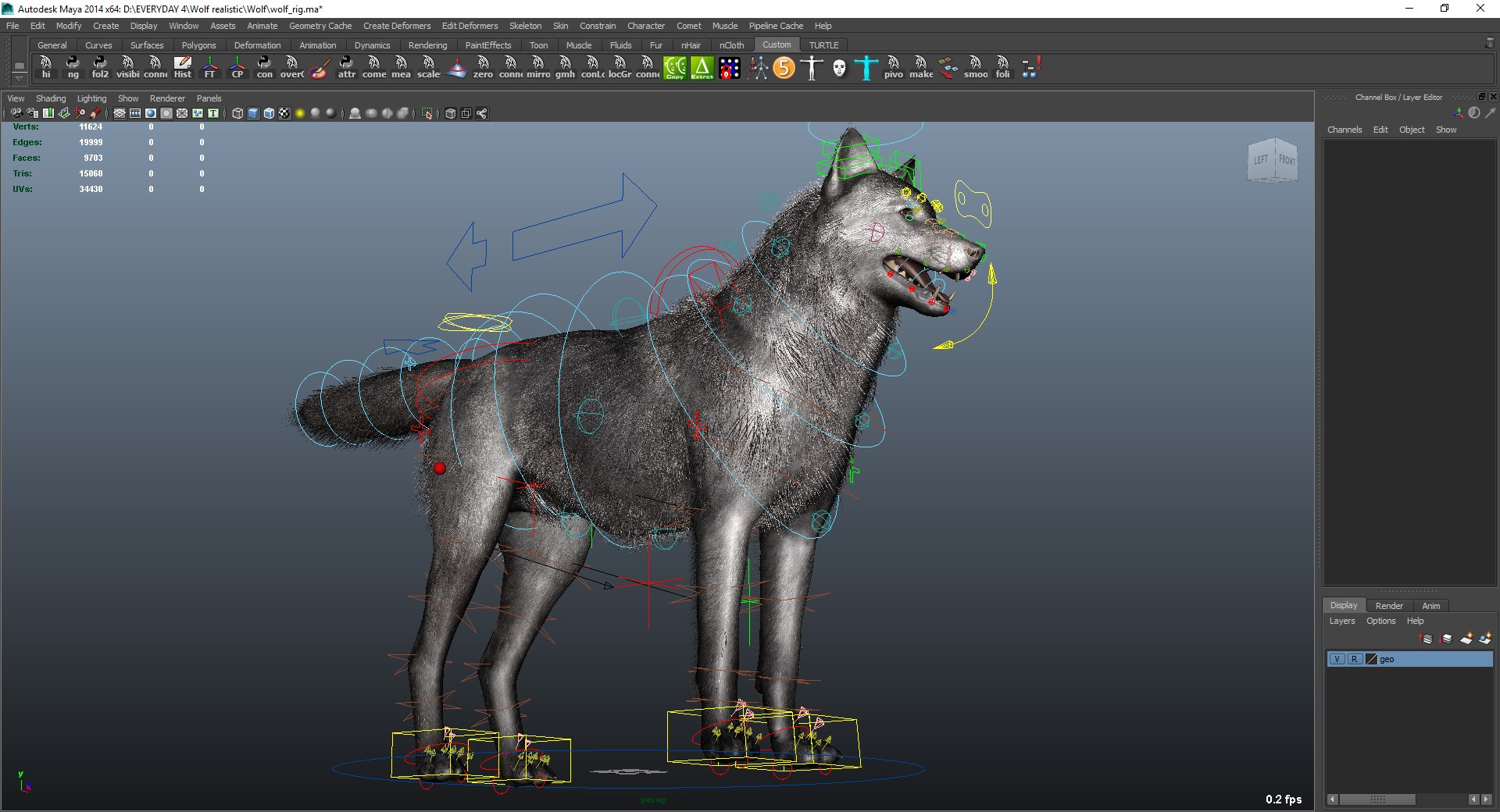 Free 3D Grey Wolf Rig - TurboSquid 1390070