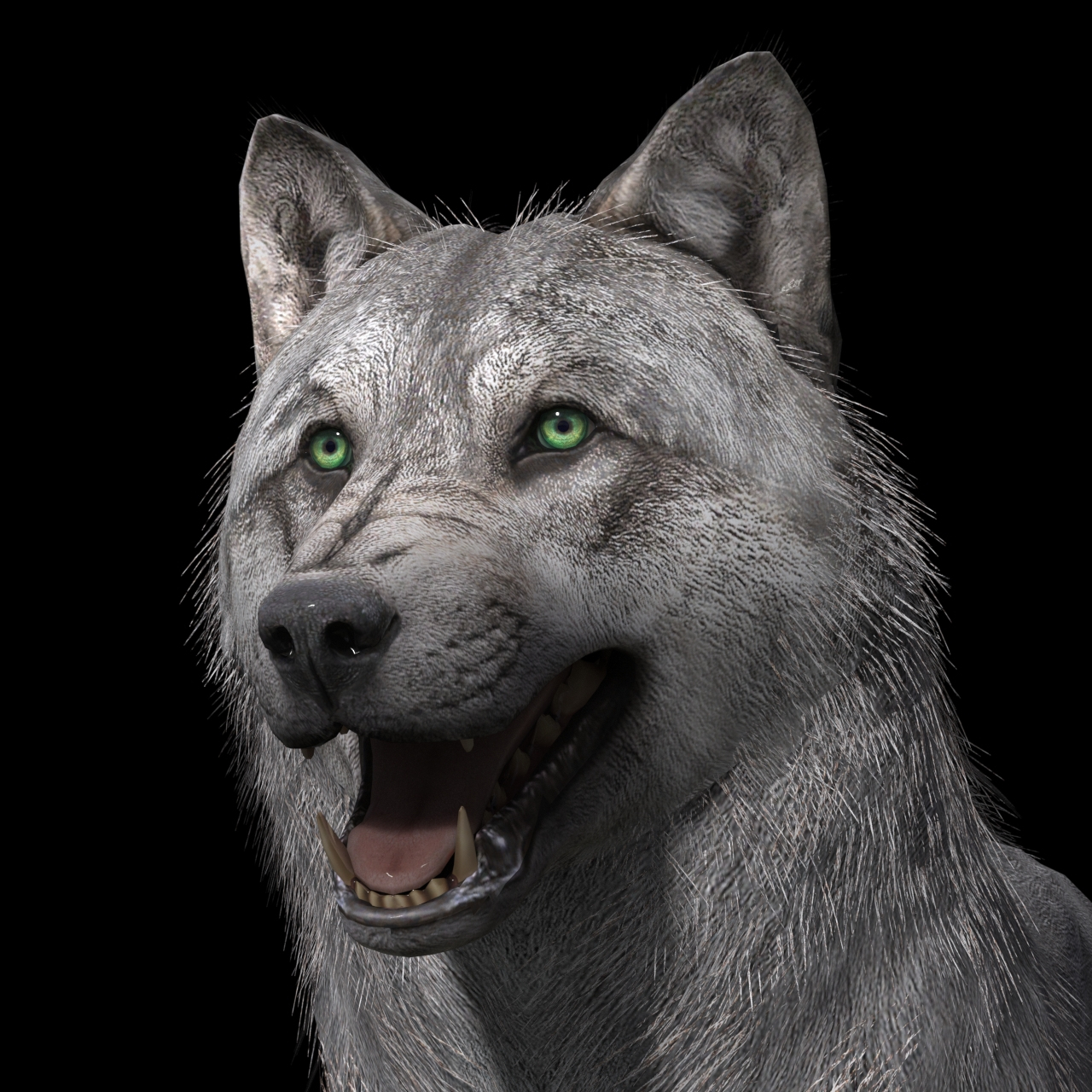 modelo 3d Lobo Realista Maya Rig gratis - TurboSquid 1390070