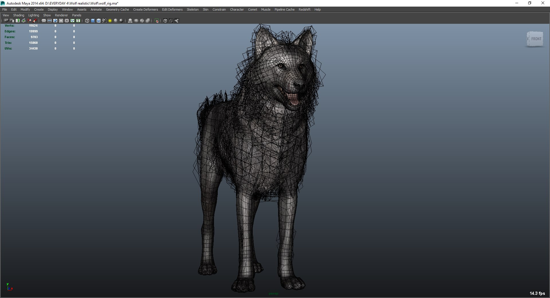 Free 3D Grey Wolf Rig - TurboSquid 1390070