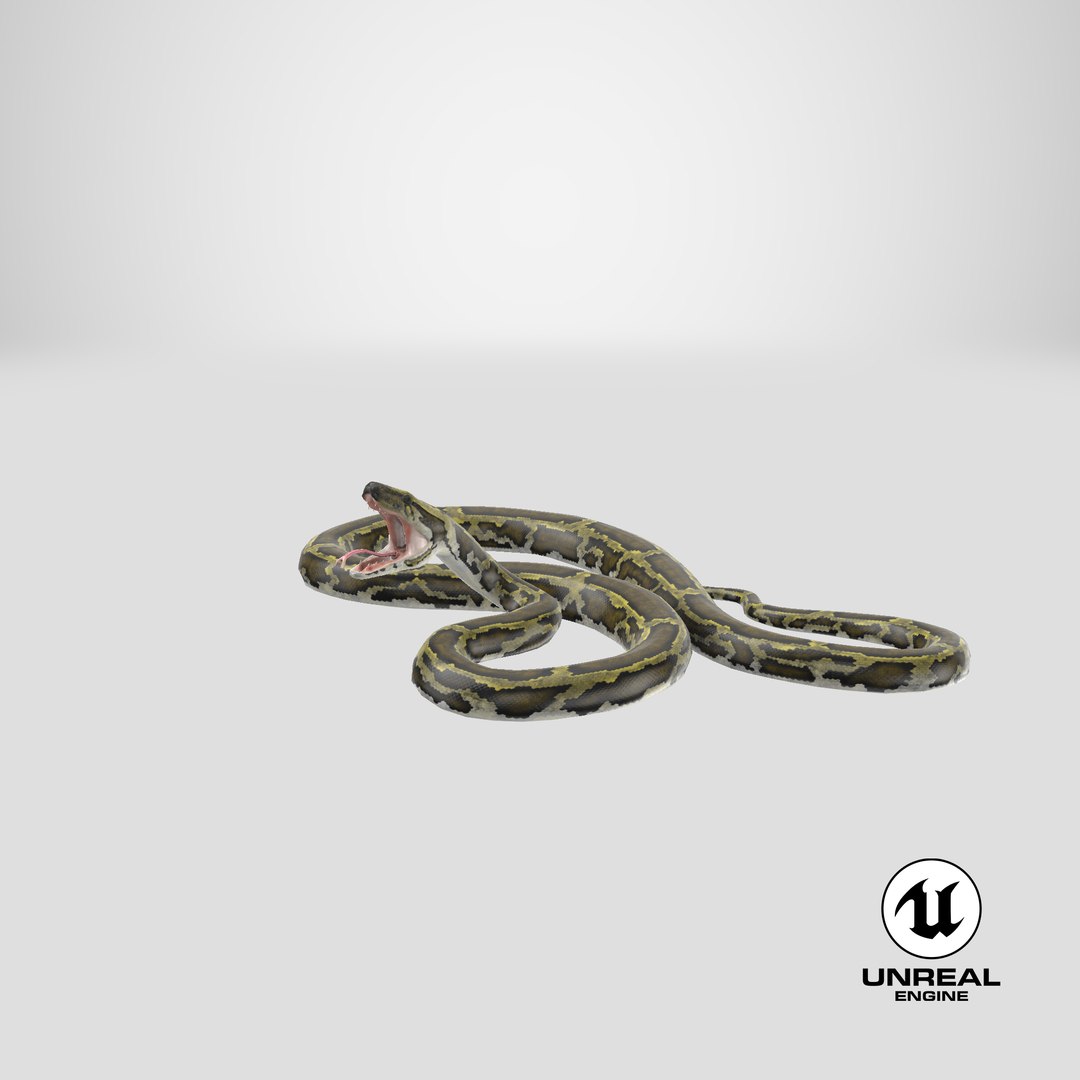 Green Python Snake Attack 3D Model - TurboSquid 1410562