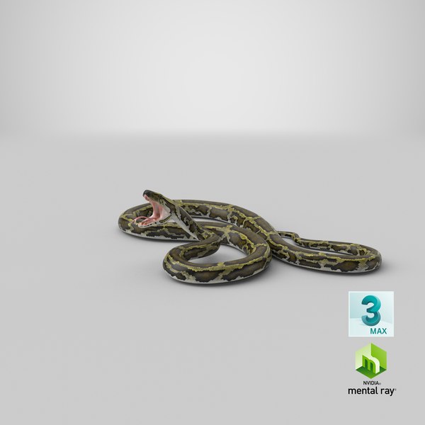 Green python snake attack 3D model - TurboSquid 1410562