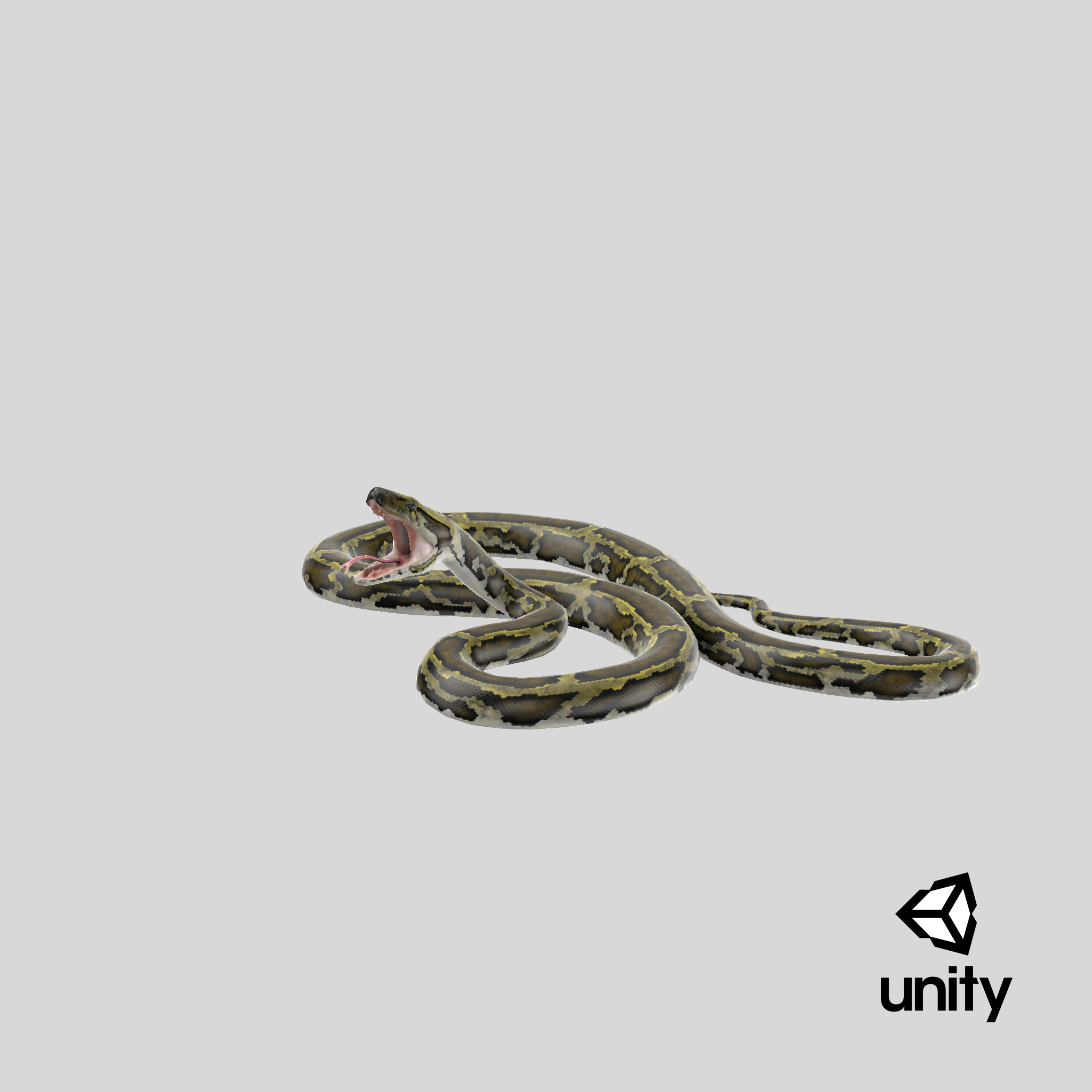 Green python snake attack 3D model - TurboSquid 1410562