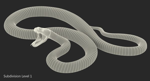 Green python snake attack 3D model - TurboSquid 1410562