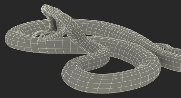 Green python snake attack 3D model - TurboSquid 1410562