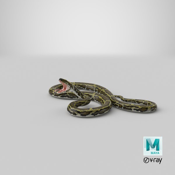 Green python snake attack 3D model - TurboSquid 1410562