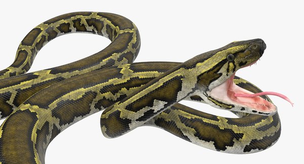 Green python snake attack 3D model - TurboSquid 1410562