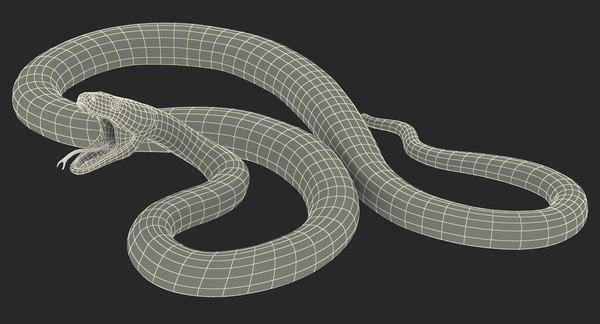 Green python snake attack 3D model - TurboSquid 1410562