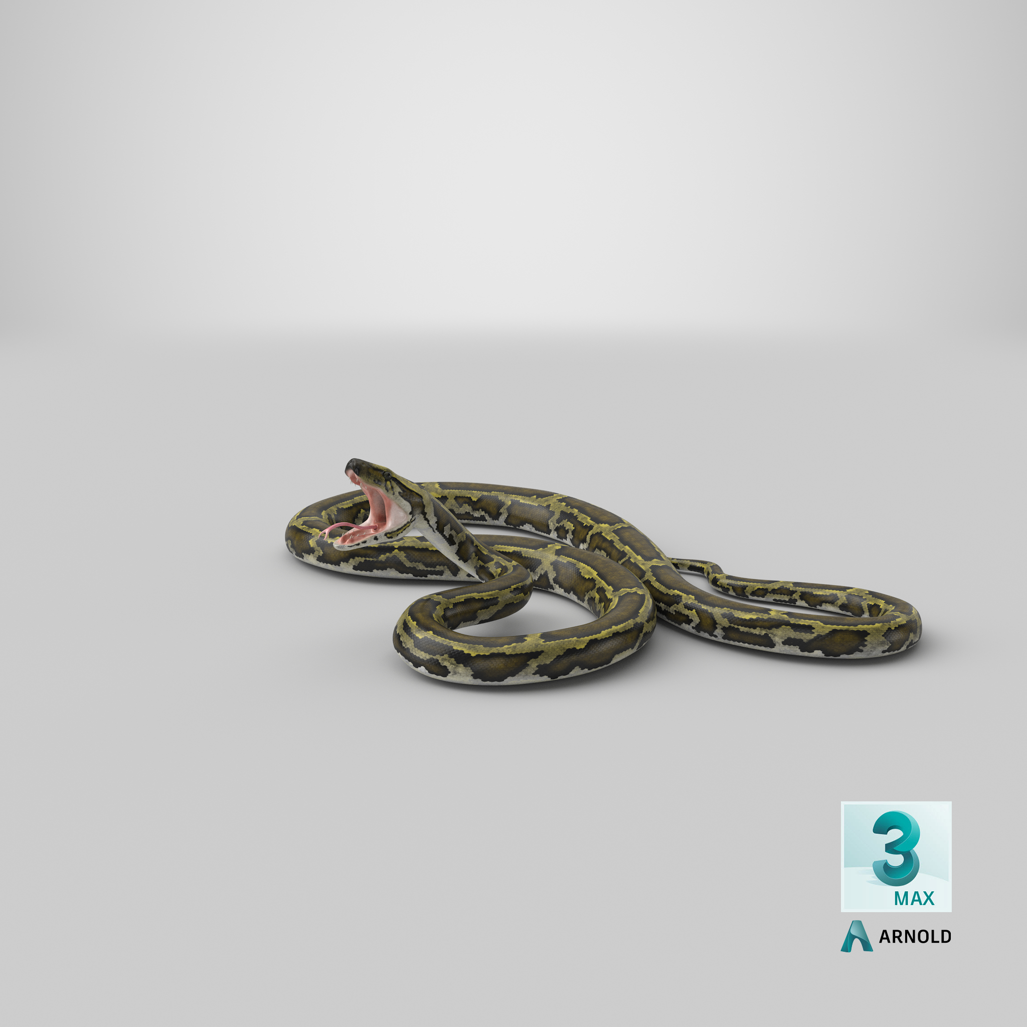 Green python snake attack 3D model - TurboSquid 1410562