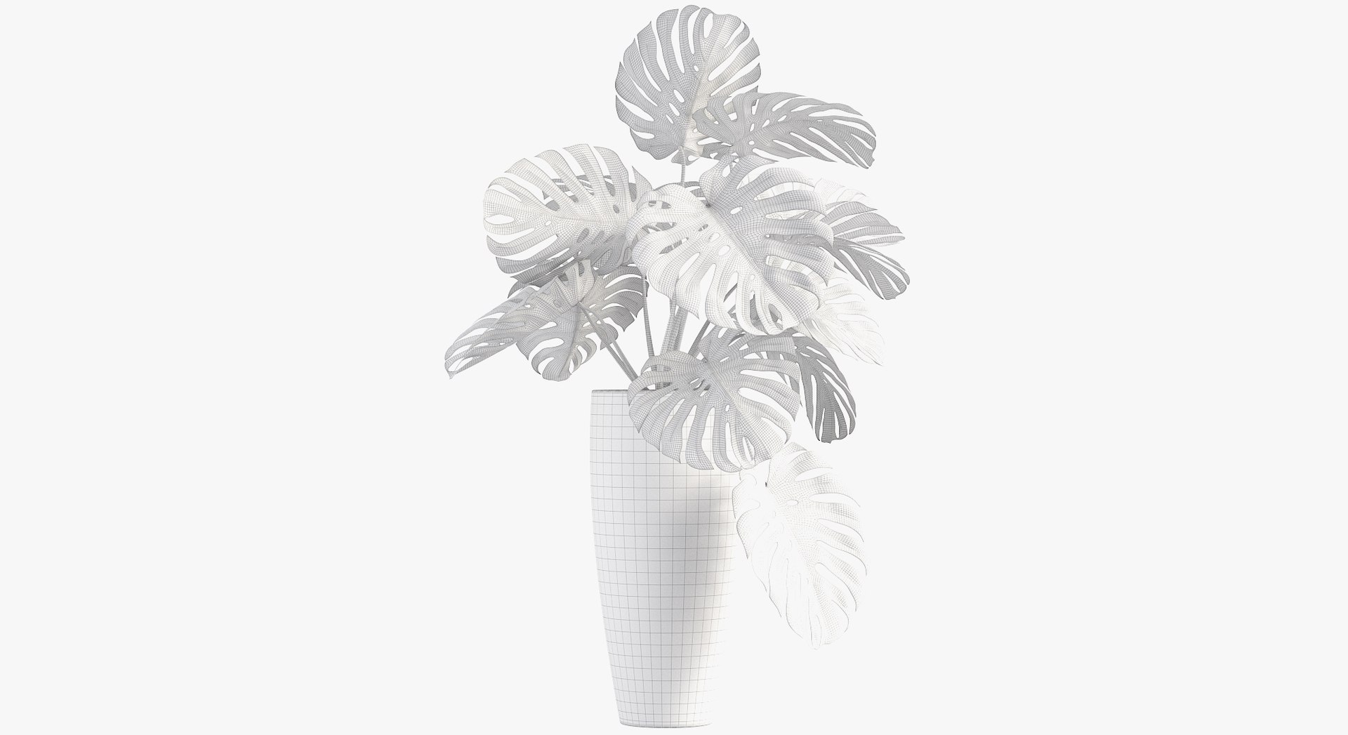 Monstera 3D Model - TurboSquid 1533139