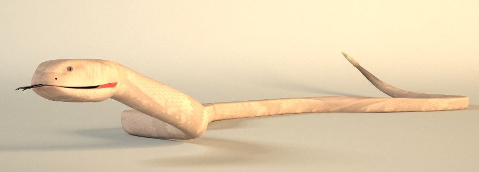 Cartoony Rattle Snake 3d Model