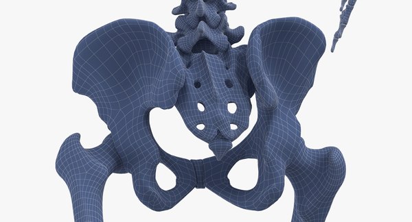 3D human male female - TurboSquid 1676801