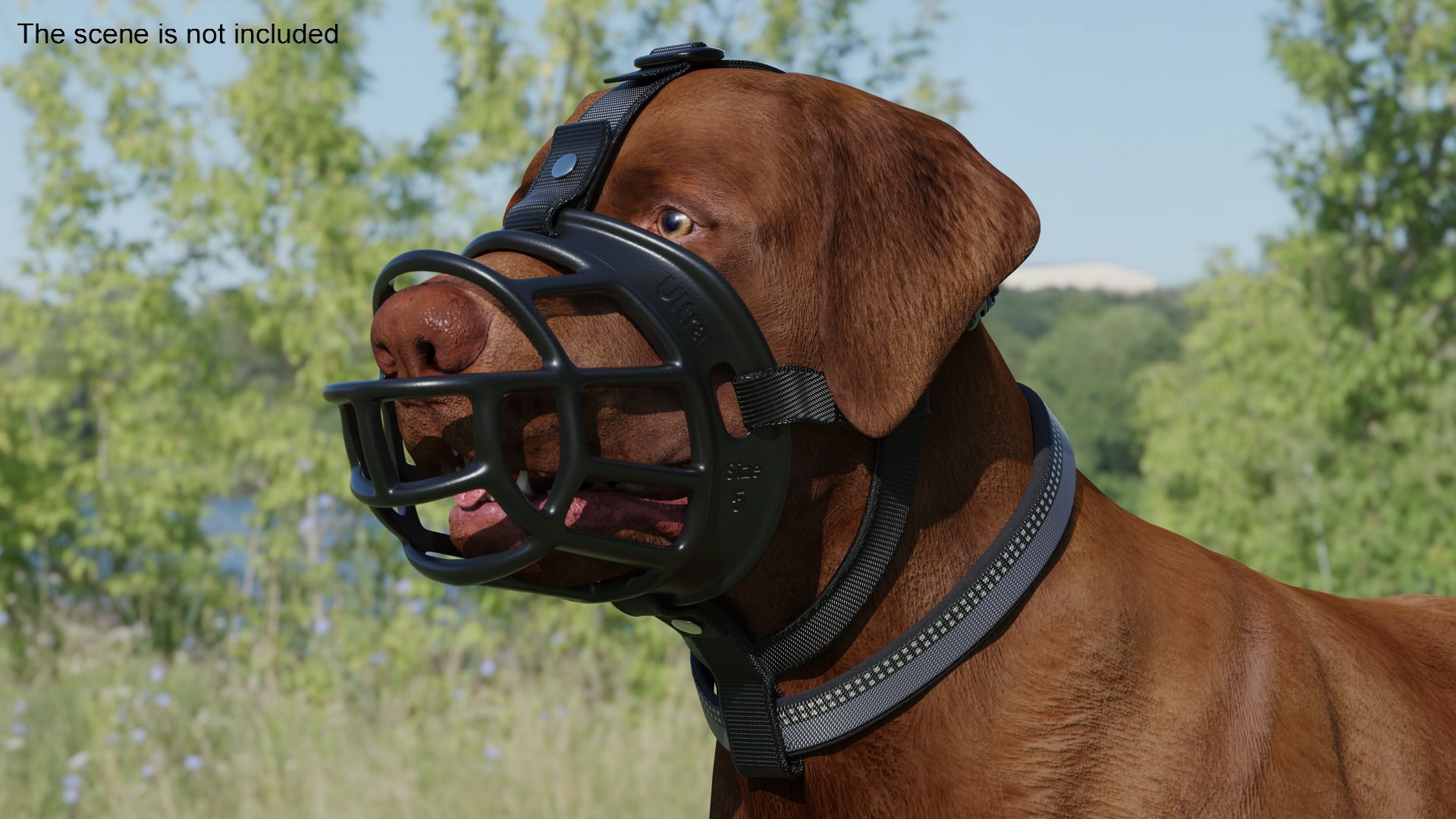 Brown Labrador Wearing Muzzle 3D Model - TurboSquid 2284100