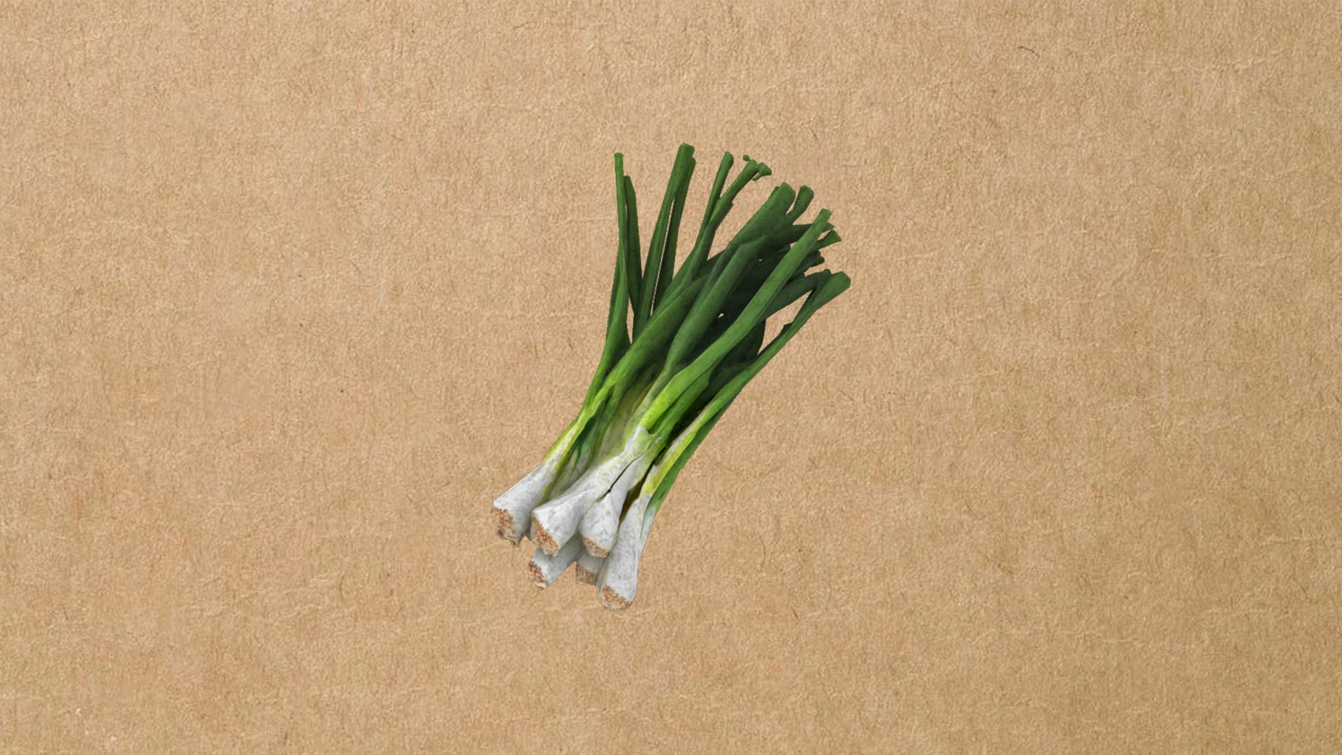 3D Scallion Model - TurboSquid 2389098