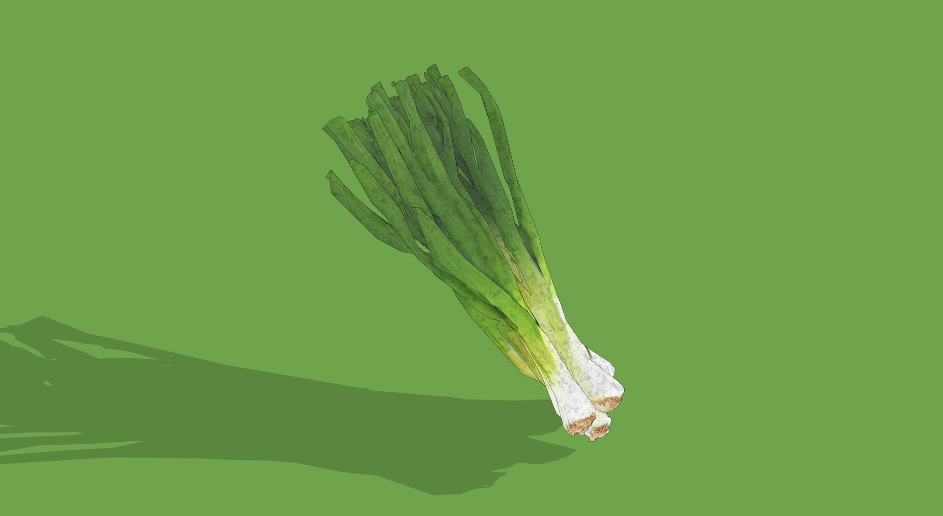 3D Scallion Model - TurboSquid 2389098