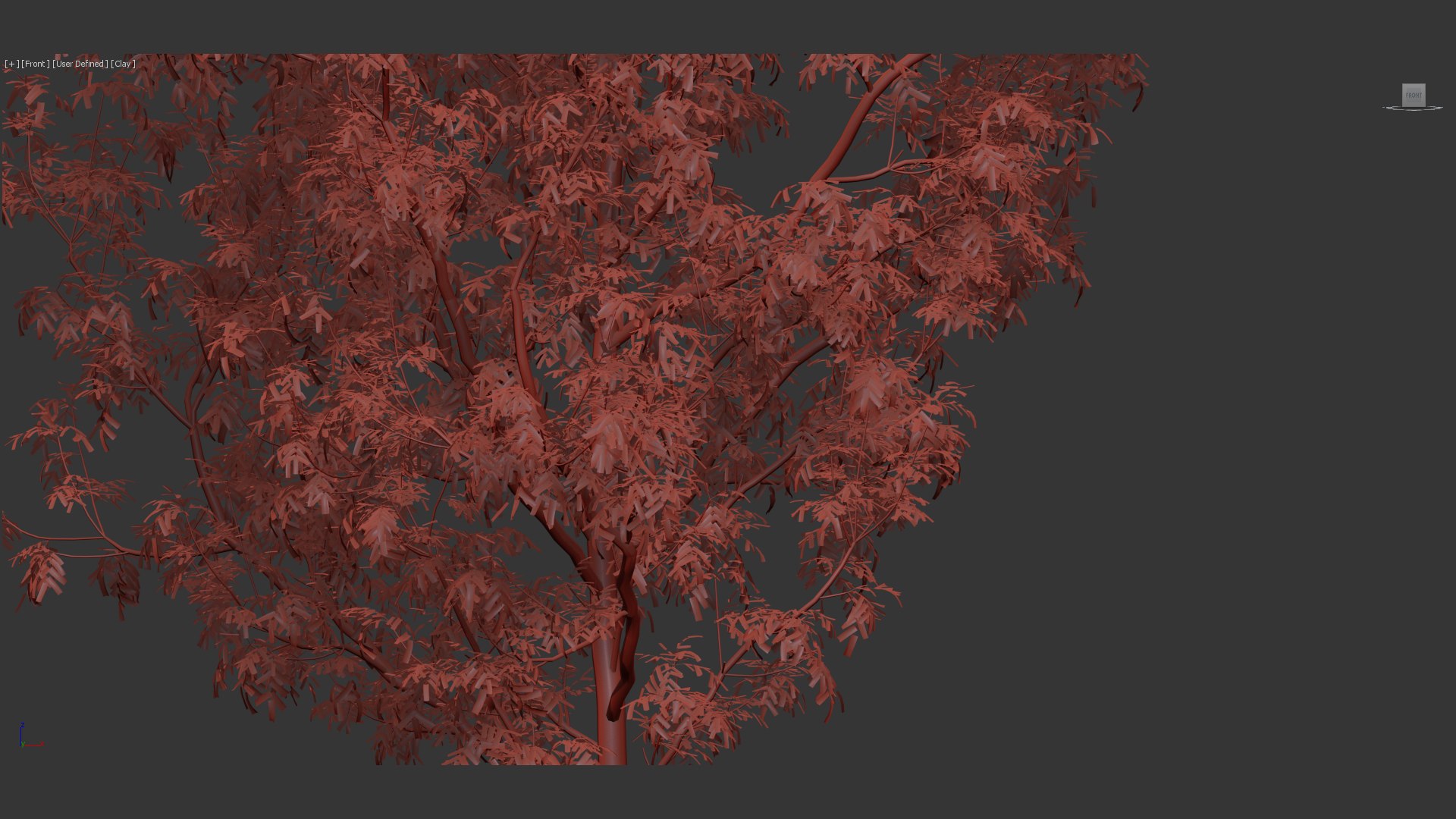 3D Fraxinus Excelsior Common Ash - TurboSquid 2057032