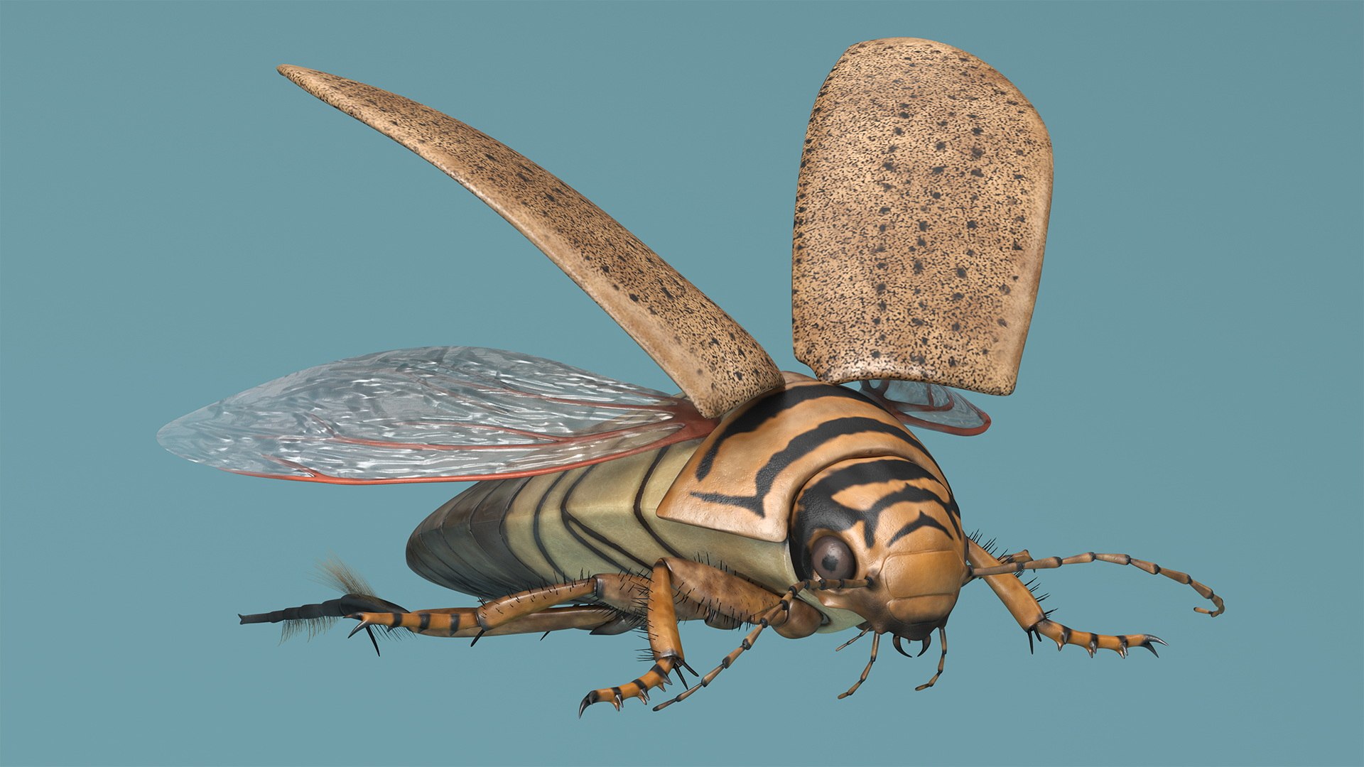 3D Model Insect Water Beetle Beige Rigged - TurboSquid 2250653