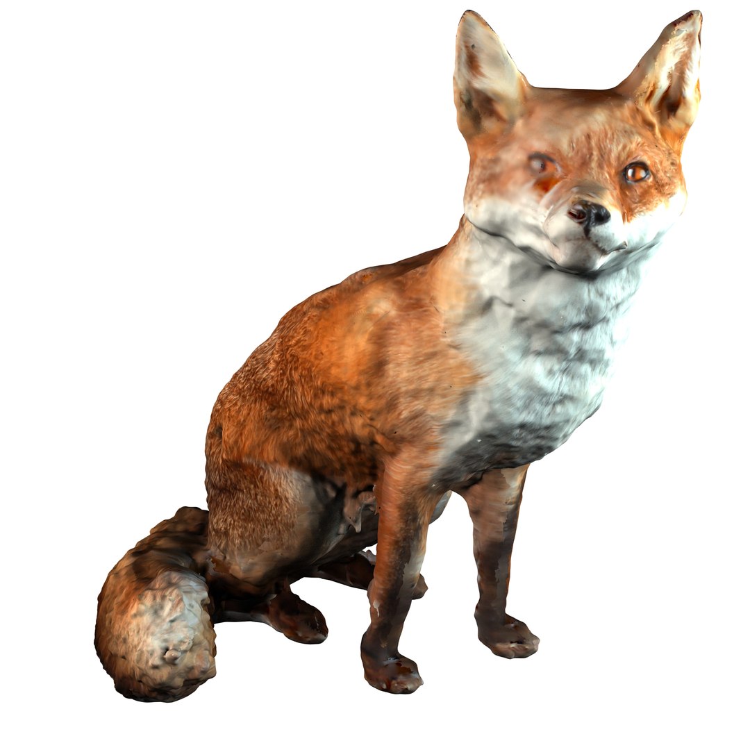 Fox Max