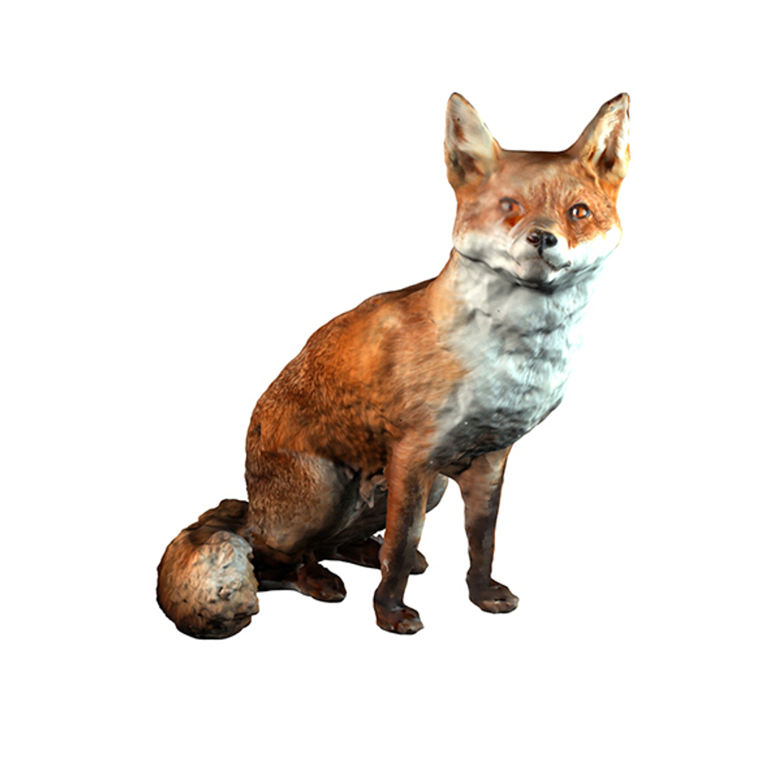 Fox Max