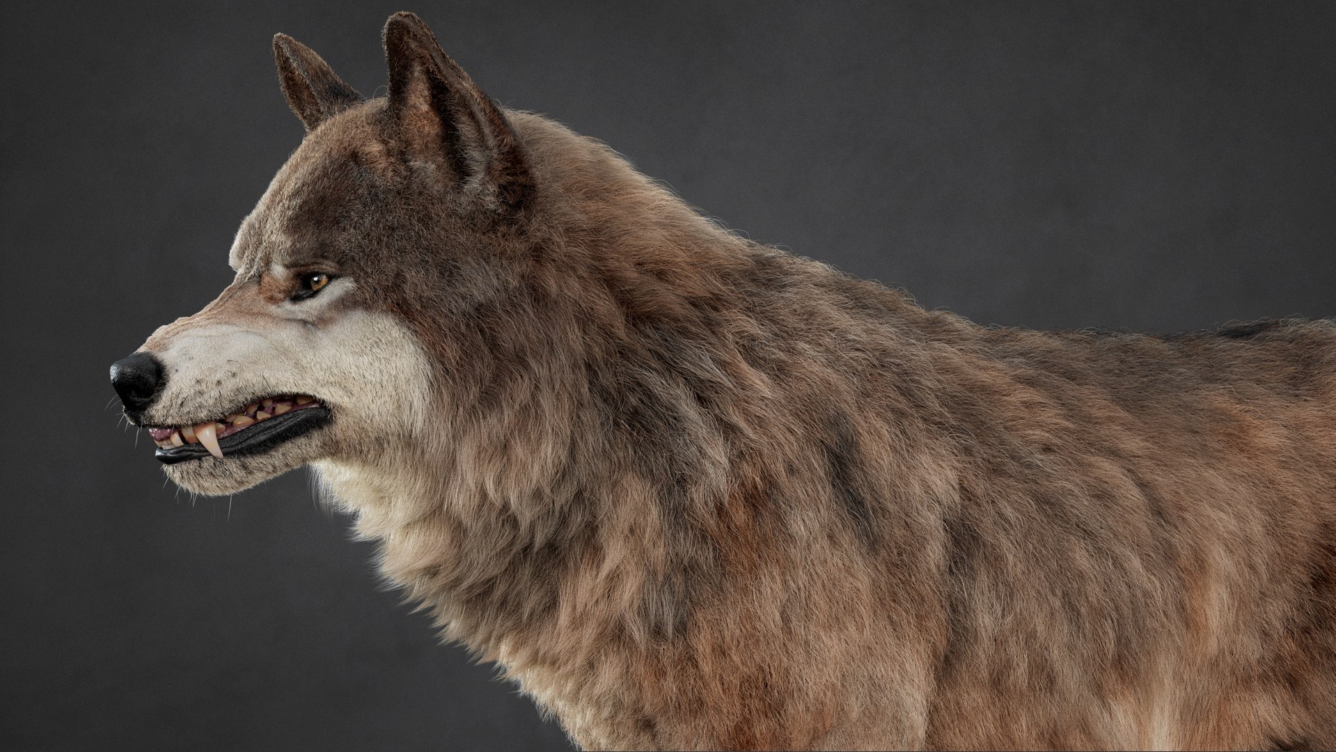 3D Wolf Pack Rig XGEN-CORE - TurboSquid 2457156